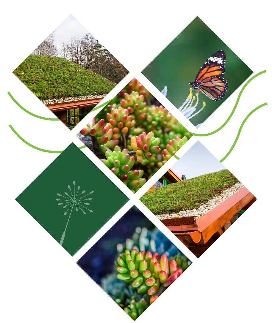 Green Roof Products - Harrowden